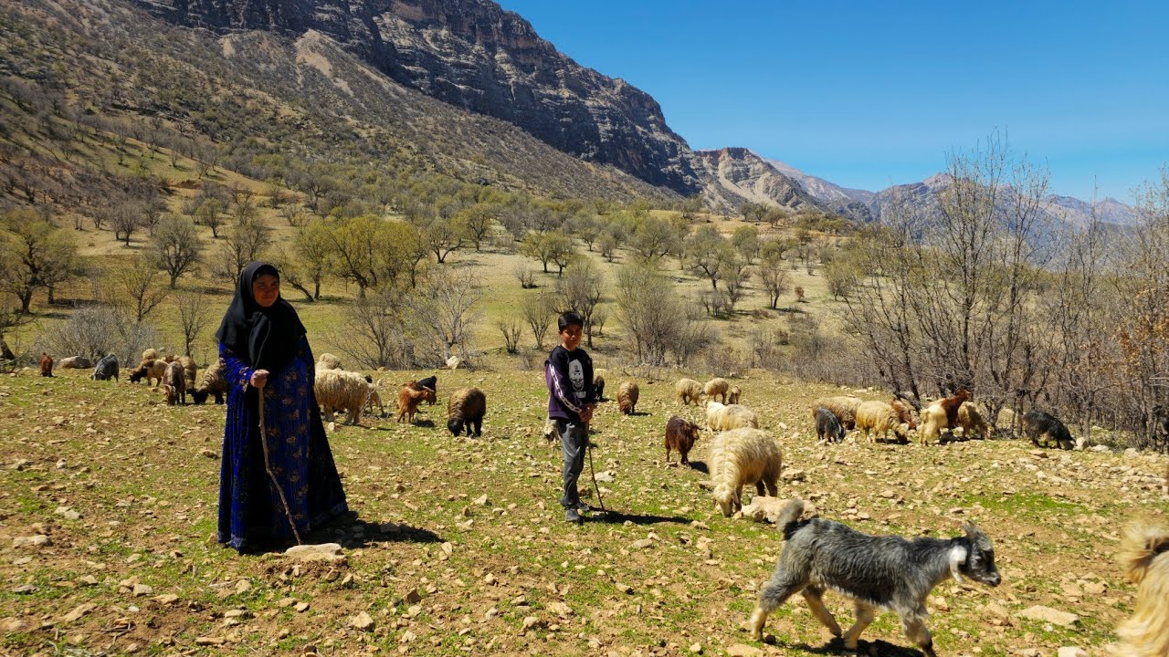 IRAN nomadic life: Daily routine village life of Iran | Nomadic ...