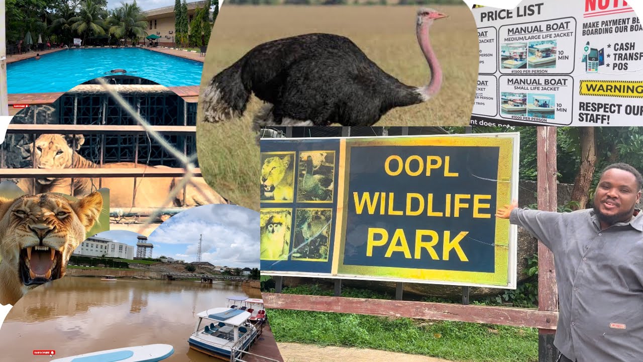 Inside the best resort in Abeokuta Olusegun Obasanjo Presidential ...