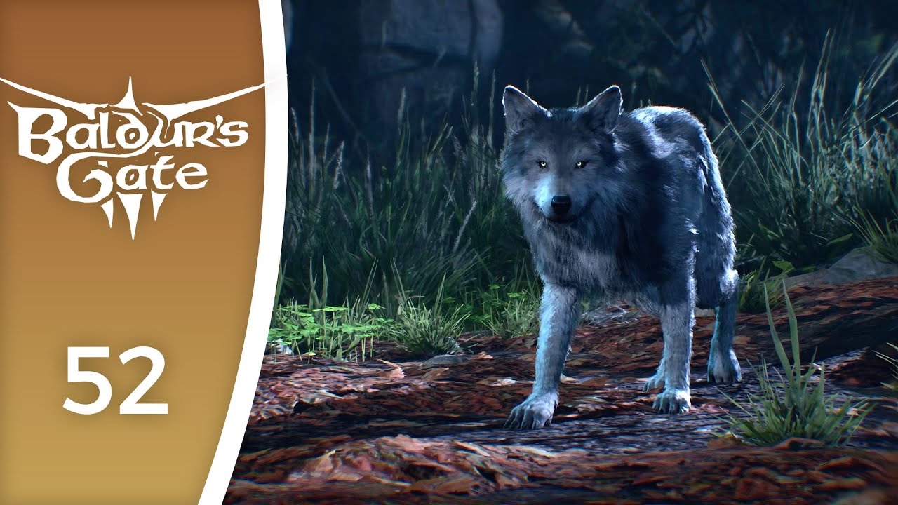 A wolf in the woods - Let's Play Baldur's Gate 3 #52 - YouTube