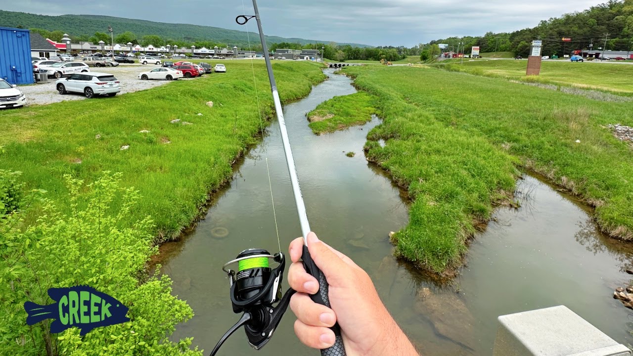 These Bass were so Shallow! - YouTube