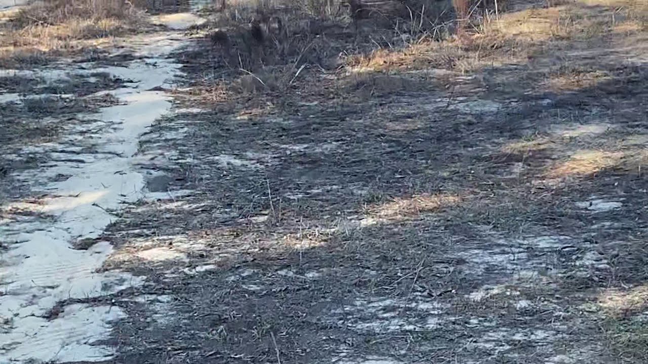 Bay County Florida mythic creature sightings included in new book