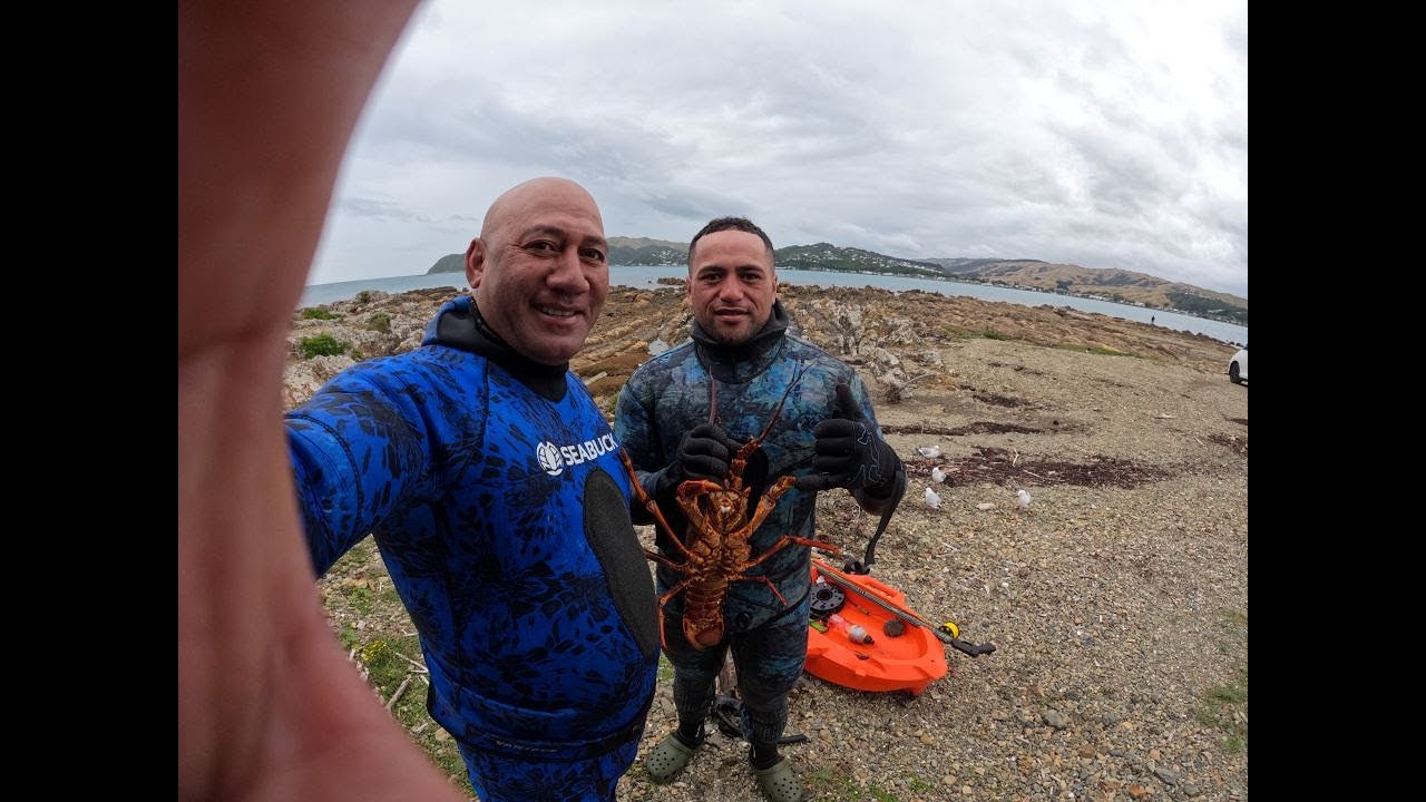 Catching Big Crayfish | Diving with the Diving Master | Cook & Eat ...