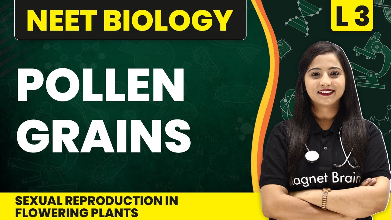 Pollen Grains in Detail | Sexual Reproduction In Flowering Plants - L3 ...