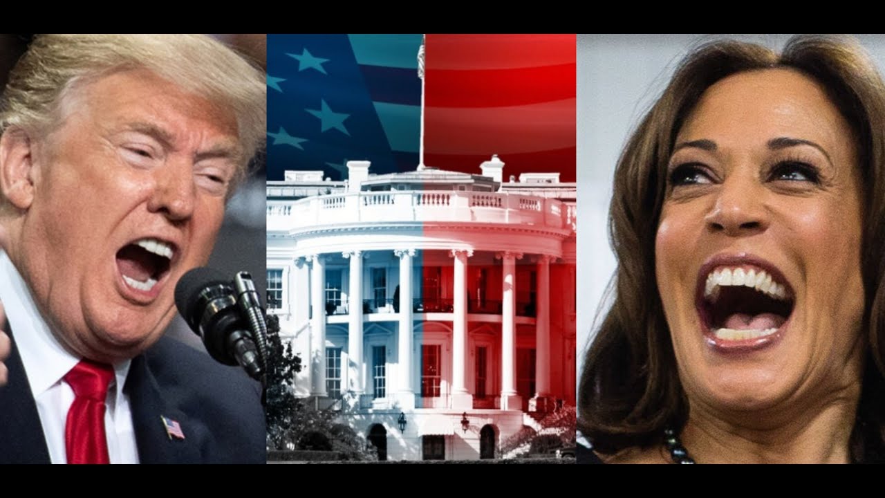 Niko House Joins To Talk About Kamala Hype, Trump In Chicago, 2024 ...
