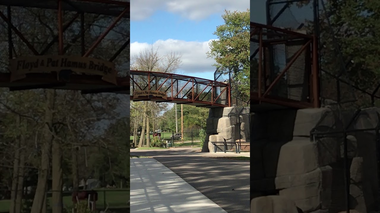 Bear crossing bridge at Wildwood Zoo in Marshfield, Wi - YouTube