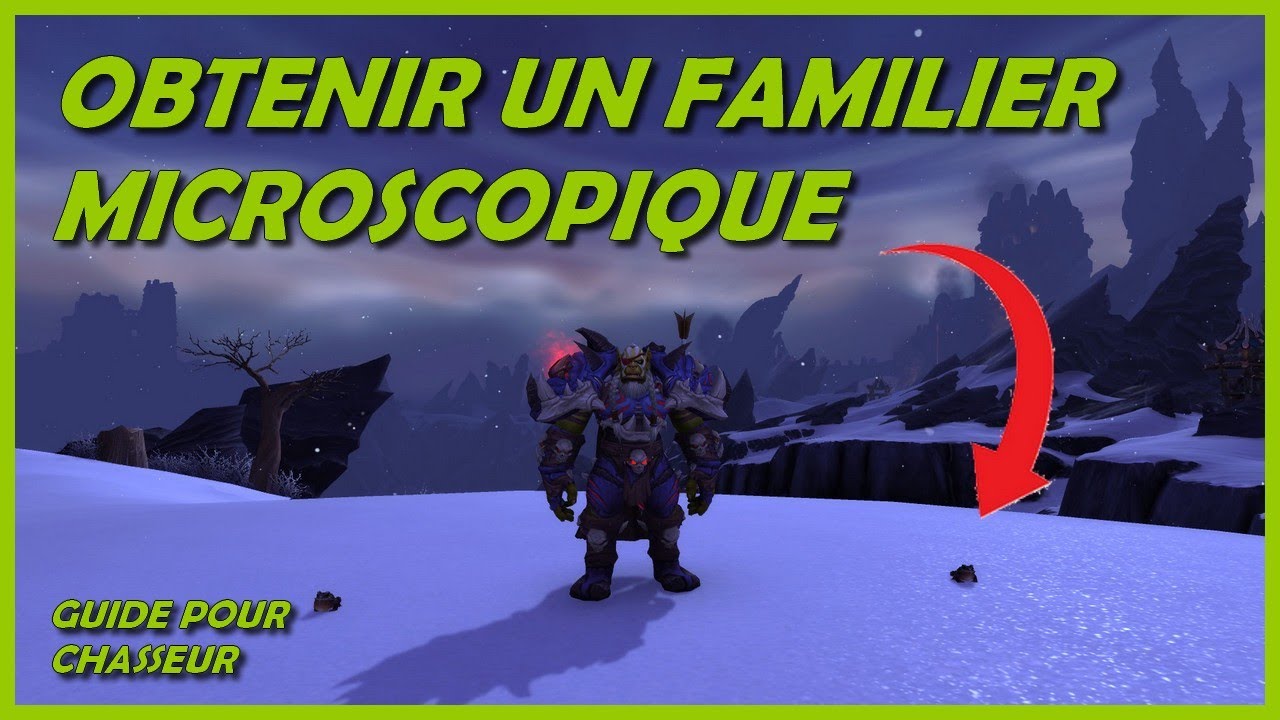 GUIDE FAMILIER CHASSEUR : COMMENT OBTENIR UN FAMILIER MICROSCOPIQUE ...