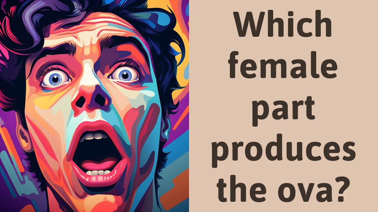 Which female part produces the ova? - YouTube