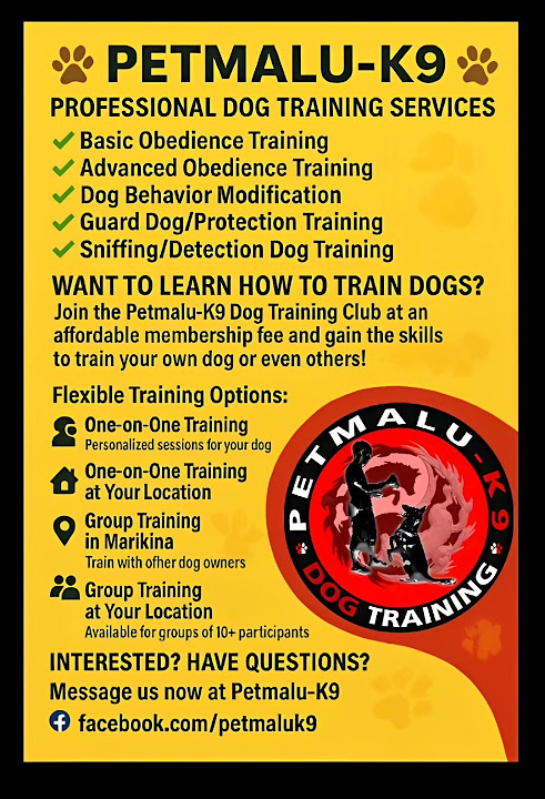 Petmalu-k9 Dog Training services - YouTube