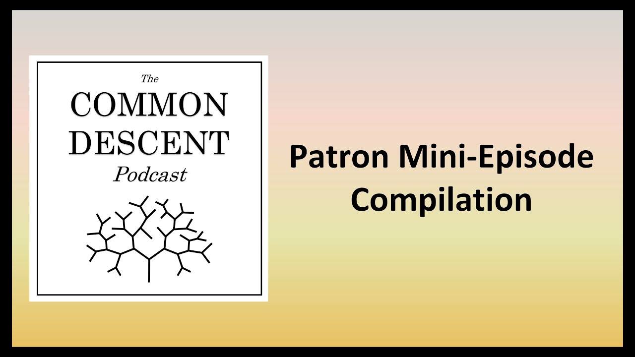 Patron Mini-Episode Compilation - YouTube