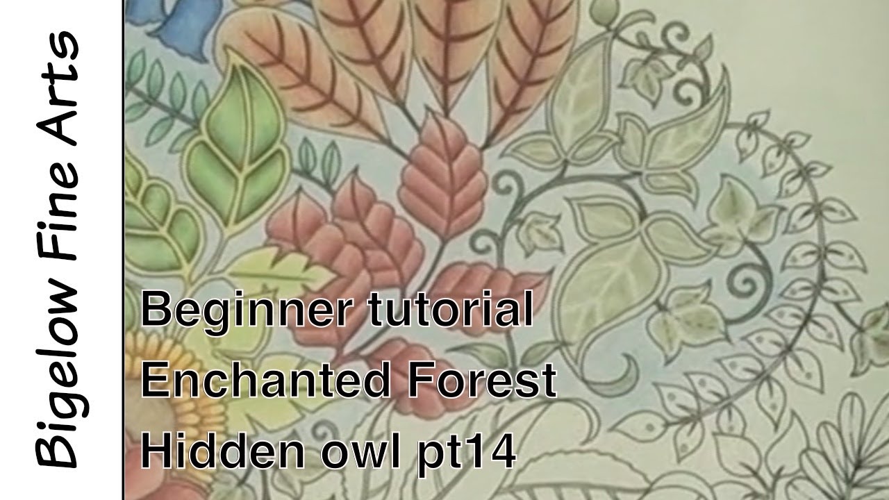 Beginner Tutorial Hidden Owl pt14 : Enchanted Forest color along with ...