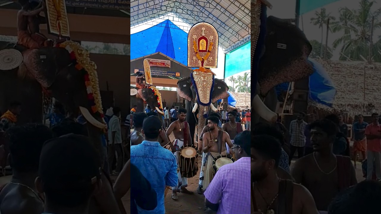 പേരൂരാൻ കൊല്ലം പൂരത്തിന് || Peroor Shivan at Kollam Pooram # ...