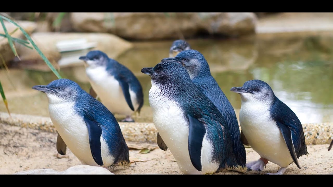 Wonders of the World: Nature's Marvels & Surprising Facts! | Fun Facts ...