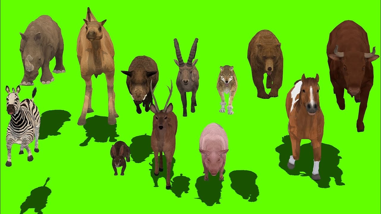 Green screen Animals running cow 🐄🦁 🦓 🦏 🦊 🐖 #greenscreen animals # ...