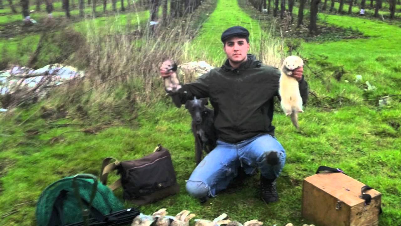(ferreting boys) few pics from this season louis webb 2011-2012 - YouTube
