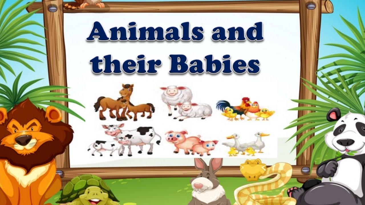 Animals and their Young Ones||Animals and their Babies || Animals ...