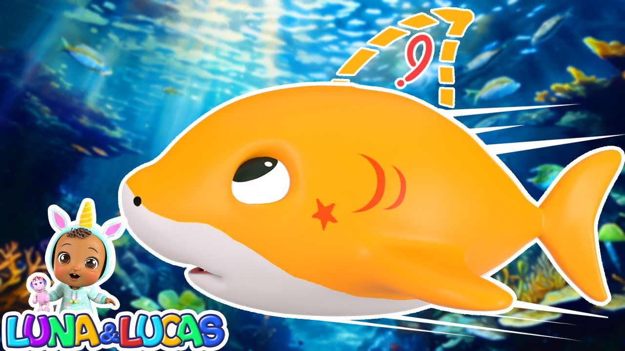 🦈 Shark Lost His Fin | Nursery Rhymes for Kids 🦈 - YouTube