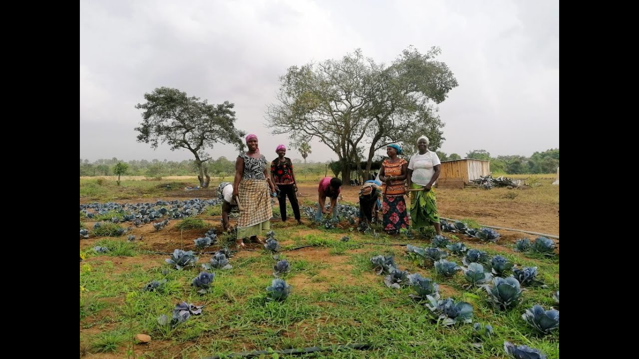 WFTE : Présentation du projet Labalo - "Aidons les agricultrices ...