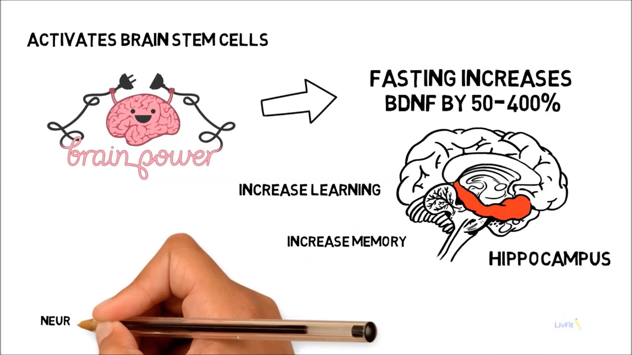 Intermittent Fasting (Brain Function, Longevity, Weight Loss, Bio ...