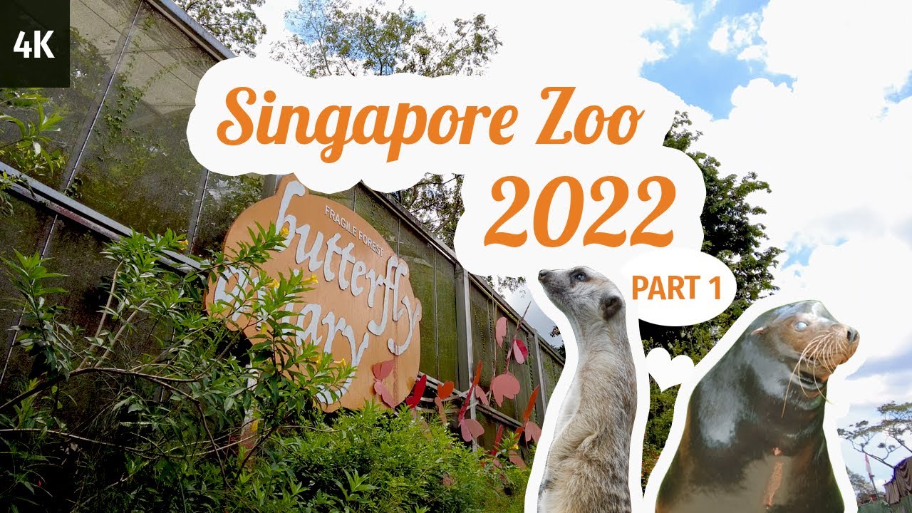Singapore Zoo 2022 Tour Part 1 - Treetops Trail | Splash Safari | Wild ...