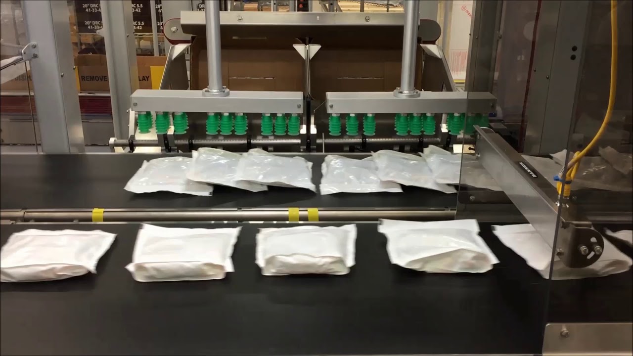 CCM Paloma Case Packer - YouTube