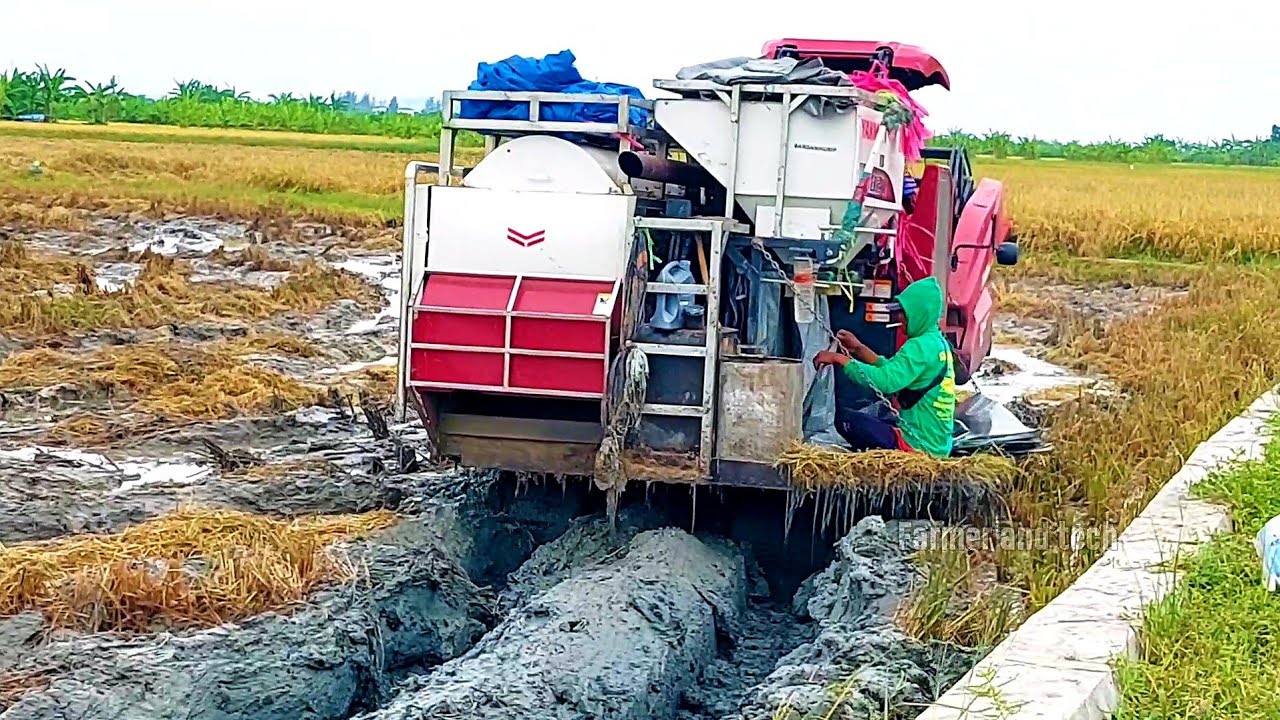 Excellent technique of operating rice harvester when stuck in mud ...