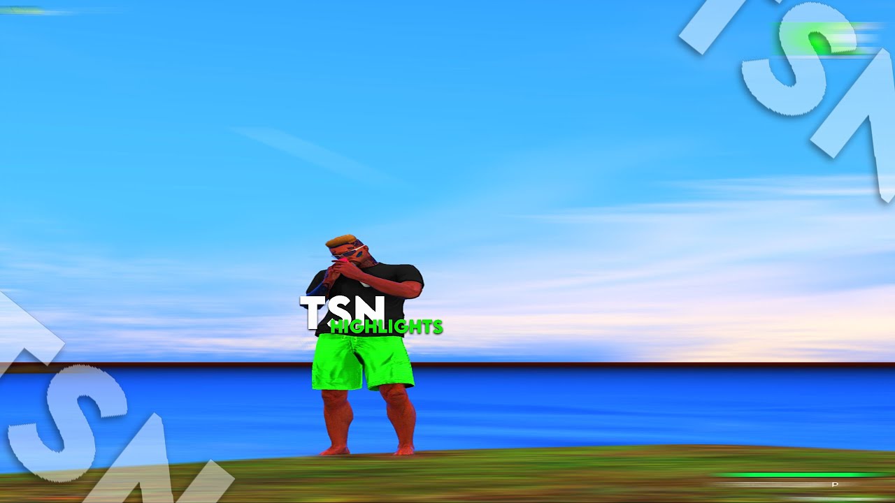 HIGHLIGHTS FIVEM TSN #5 (Kush envolved) - YouTube