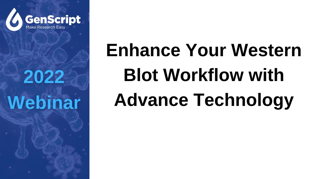 GenScript Webinar: Enhance your Western Blot Workflow with Advance ...