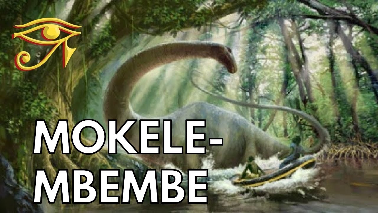 Mokele-Mbembe | The Living Dinosaur - YouTube