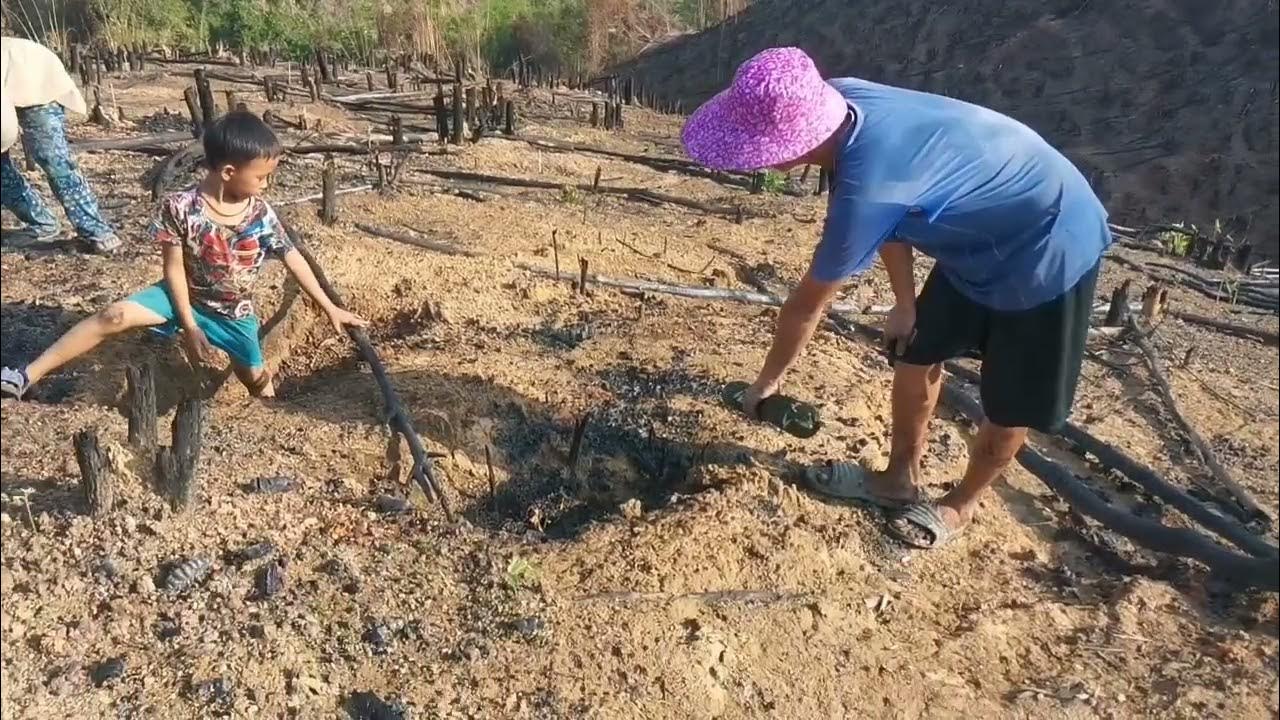 hnub no mus ntsuas teb cog ntoo yas - YouTube