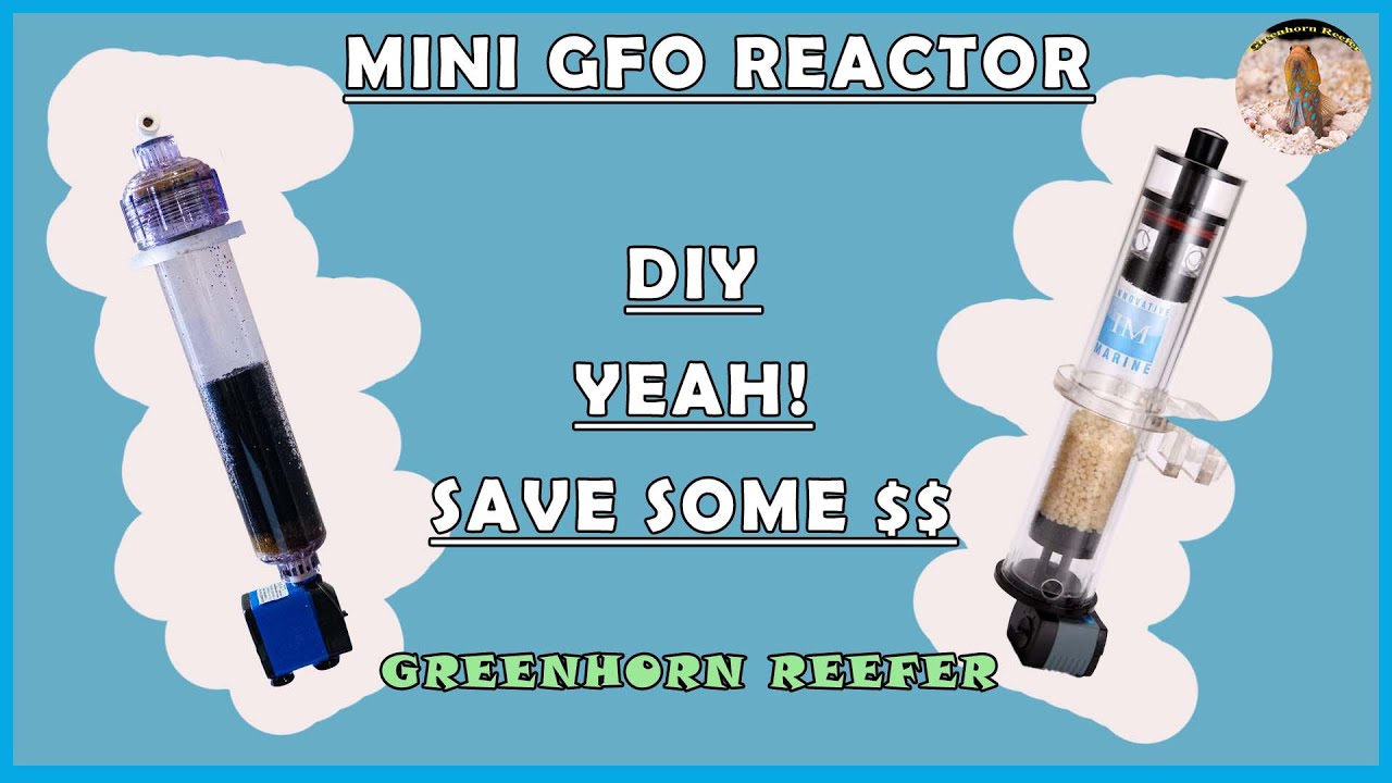 DIY GFO Reactor, 1/3 ceny markowego | 380 California Reef Tank ...
