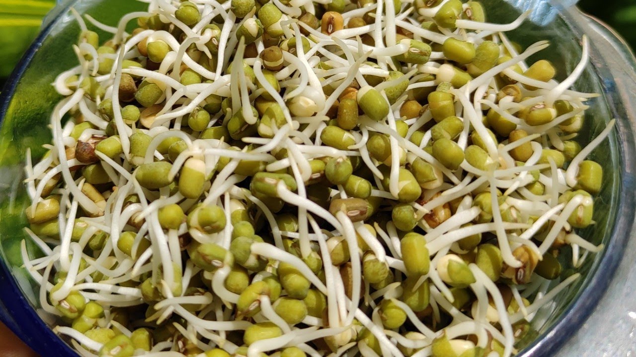 superfood for hair growth ..how to make large sprouts in one day ...