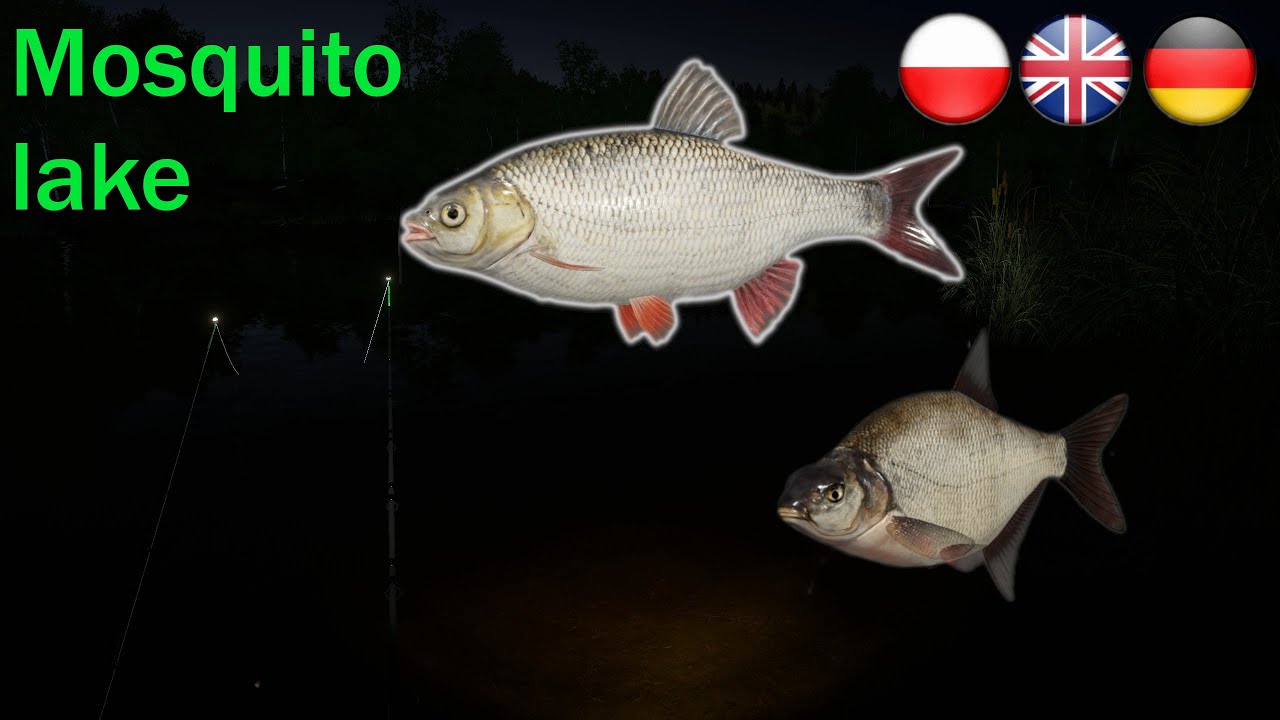 Russian Fishing 4 Mosquito lake - Komarówka | Ide , Jaź RF4 Spot #29 ...