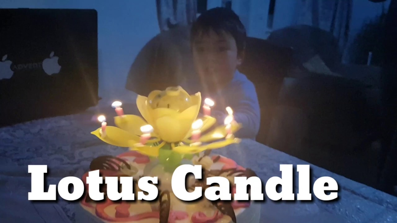 Musical and Rotating Birthday Lotus Candle/Funny Reaction on Lotus ...