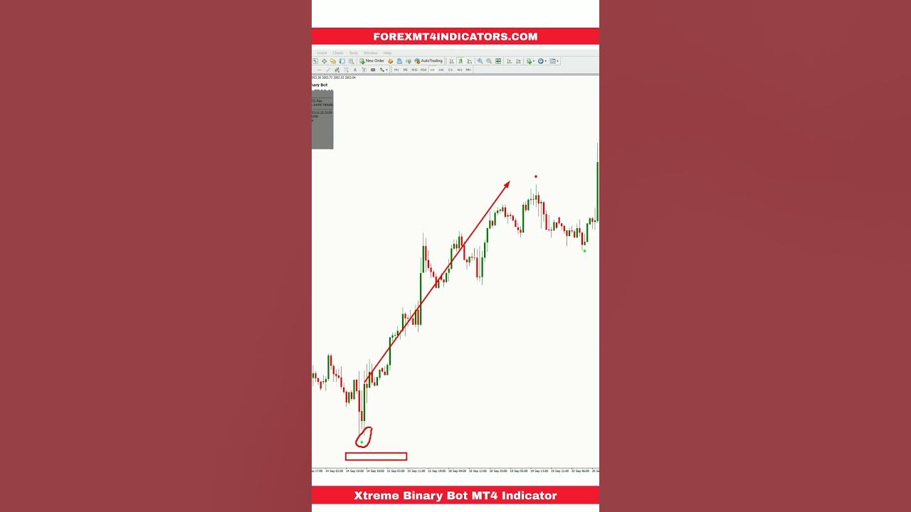 Xtreme Binary Bot MT4 Indicator - YouTube