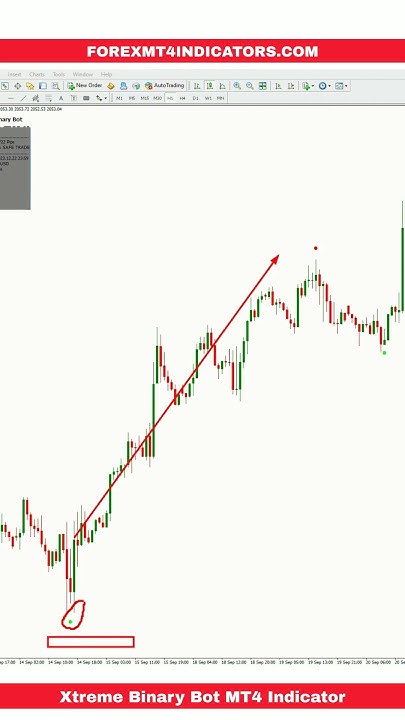 Xtreme Binary Bot MT4 Indicator - YouTube