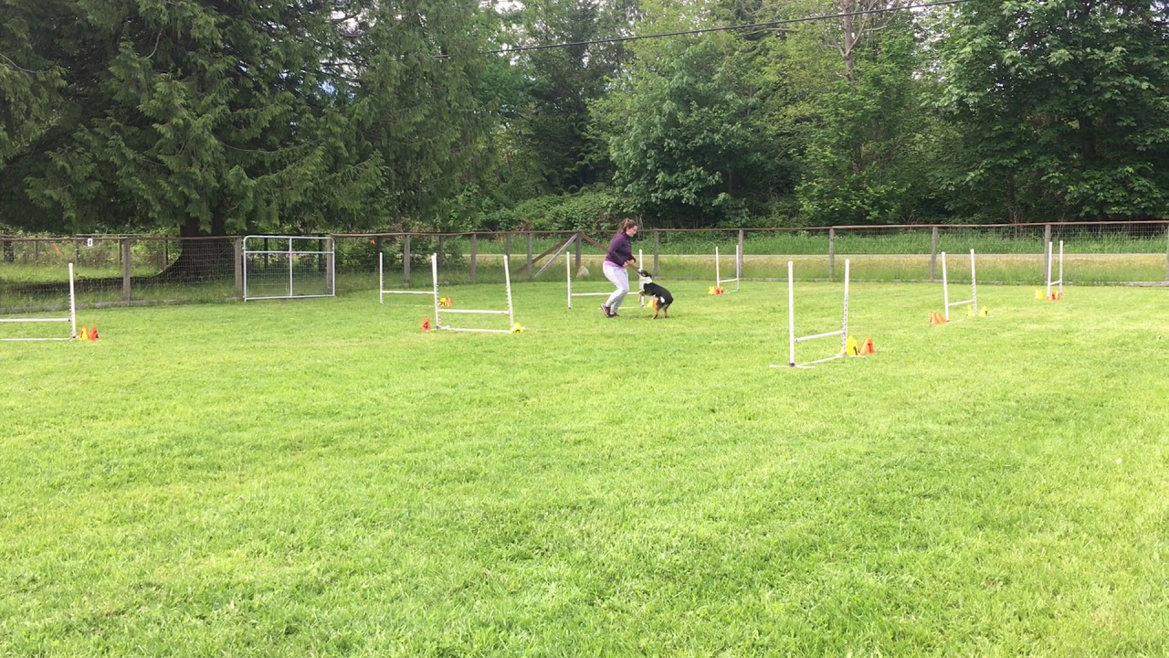 Meg Nadac VT Wknd Challenge. Jumpers course 3/4. - YouTube