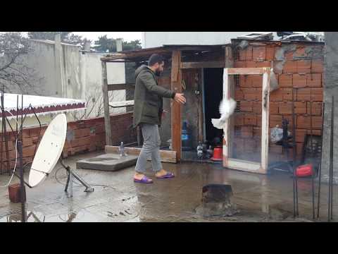 OYUNLU( TAKLACI ) GÜVERCİNLER