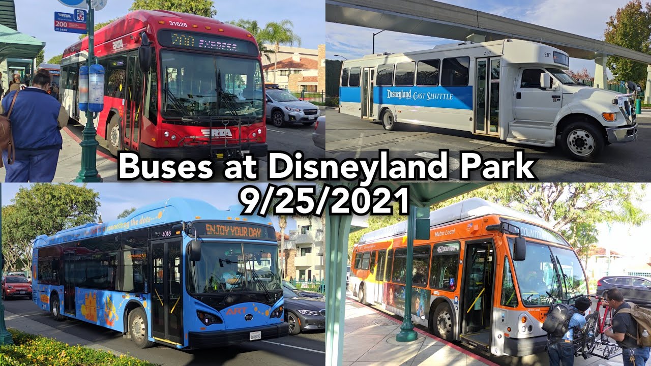 Buses at Disneyland Park - 9/25/2021 - YouTube