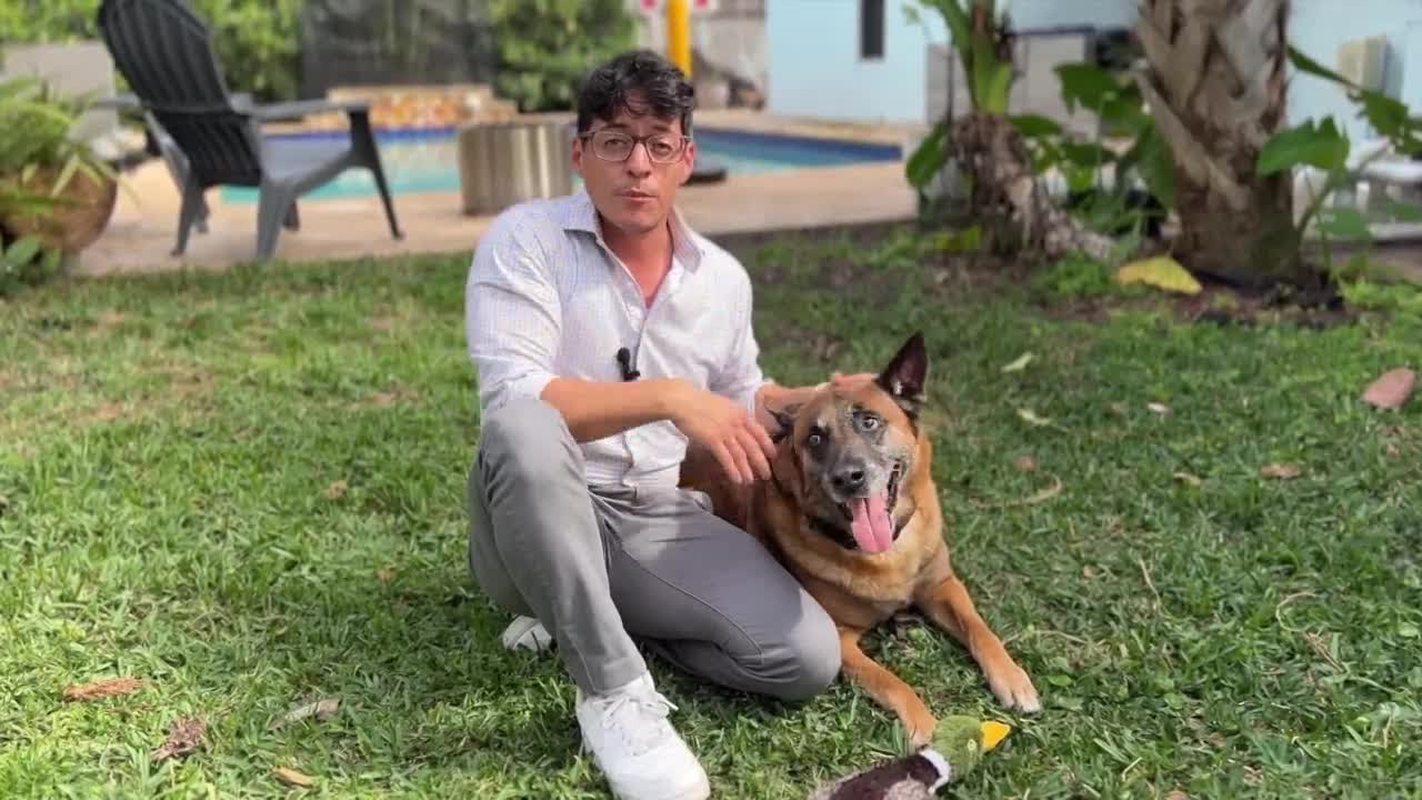 Palm Beach County woman accused of animal cruelty after dog found with ...