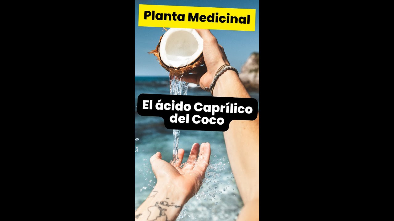 Beneficios del Ácido Caprílico del Coco: Usos, Propiedades y Cómo ...