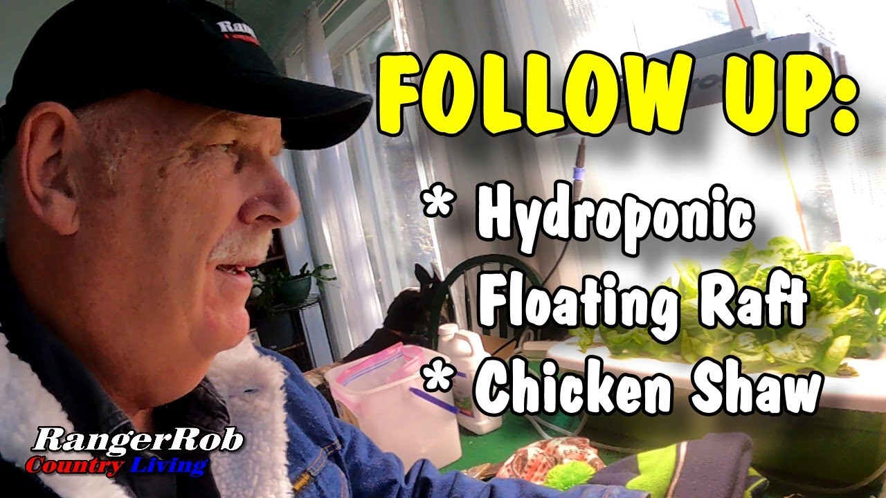 Homestead Follow Up, Hydroponic Floating Rafts & Chicken Shaw - YouTube
