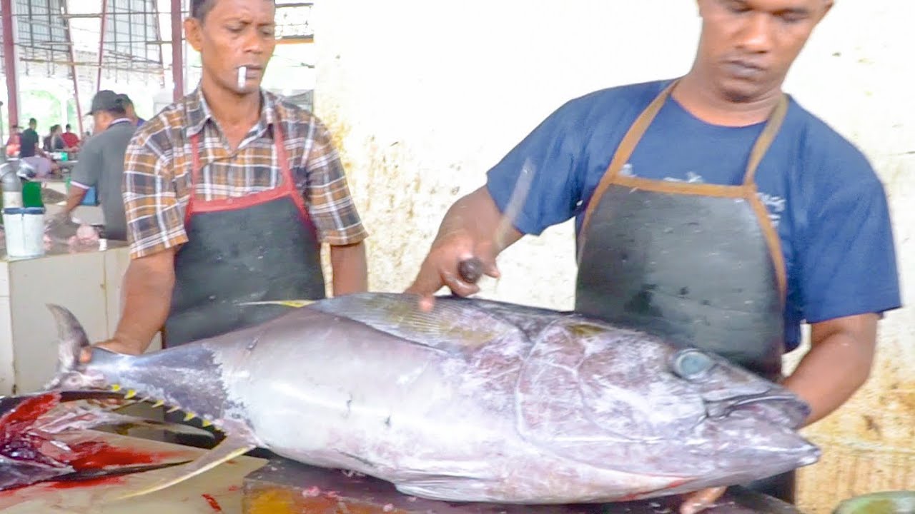 EXPERT CUTTING SKILLS || BIGGEST TUNA FISH FILLET BONELESS IN VIDEOS ...