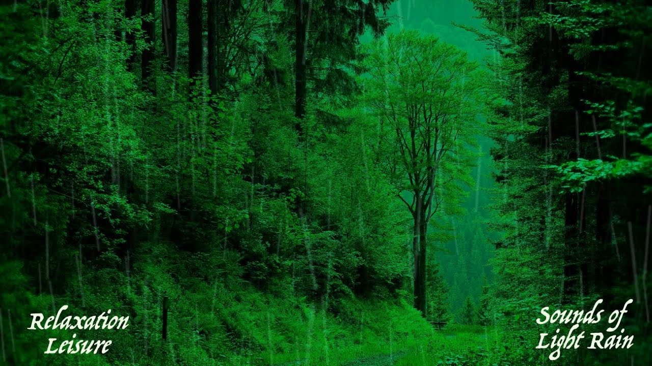 Sounds of Light Rain to Fall Relax and Fall Asleep - Stress Relief With ...