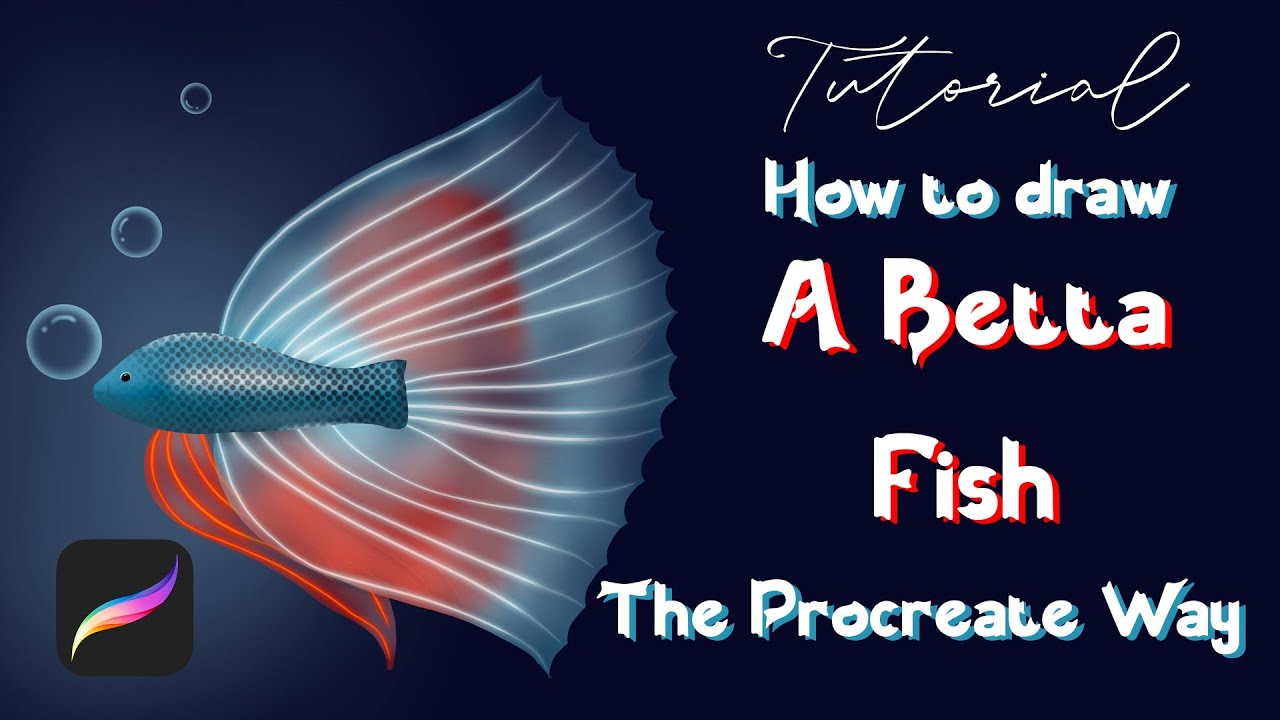 How to Draw a Betta Fish on Procreate | Easy | Tutorial | Default ...