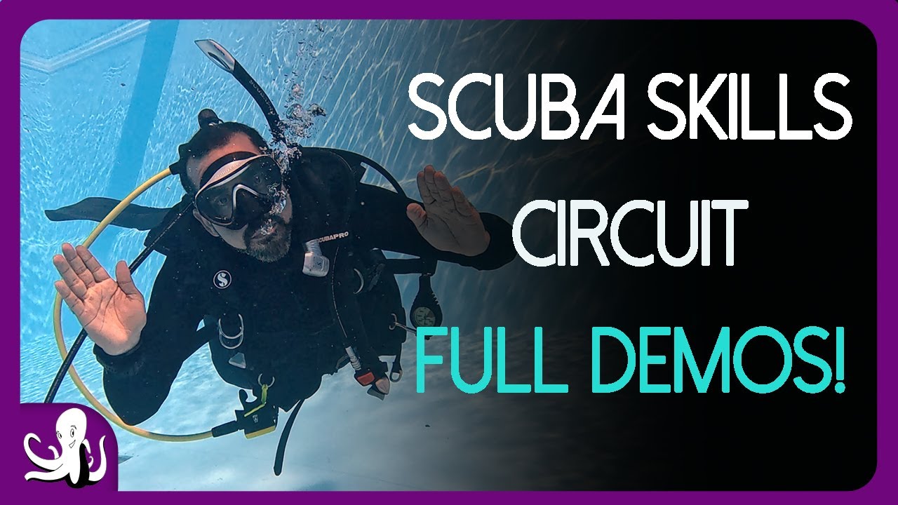 The Complete PADI Skill Circuit Every Divemaster Must Know - YouTube