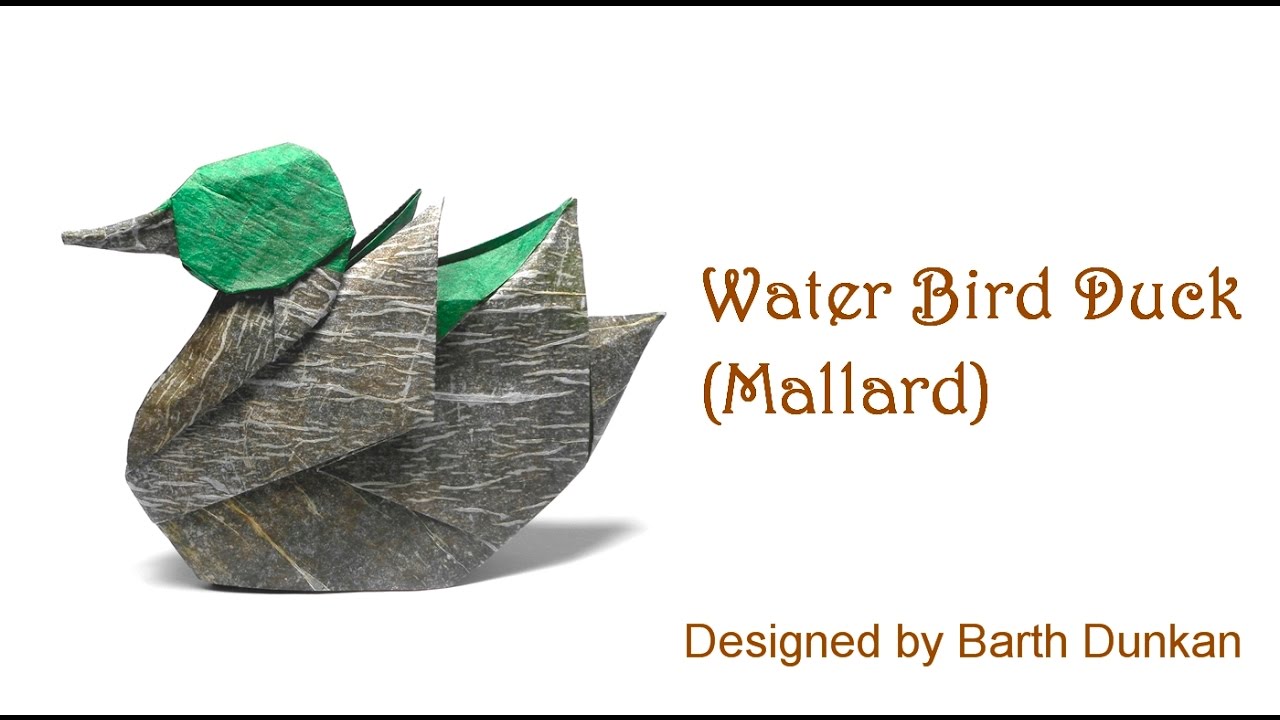 Origami Water Bird Duck - Mallard (Barth Dunkan) - YouTube