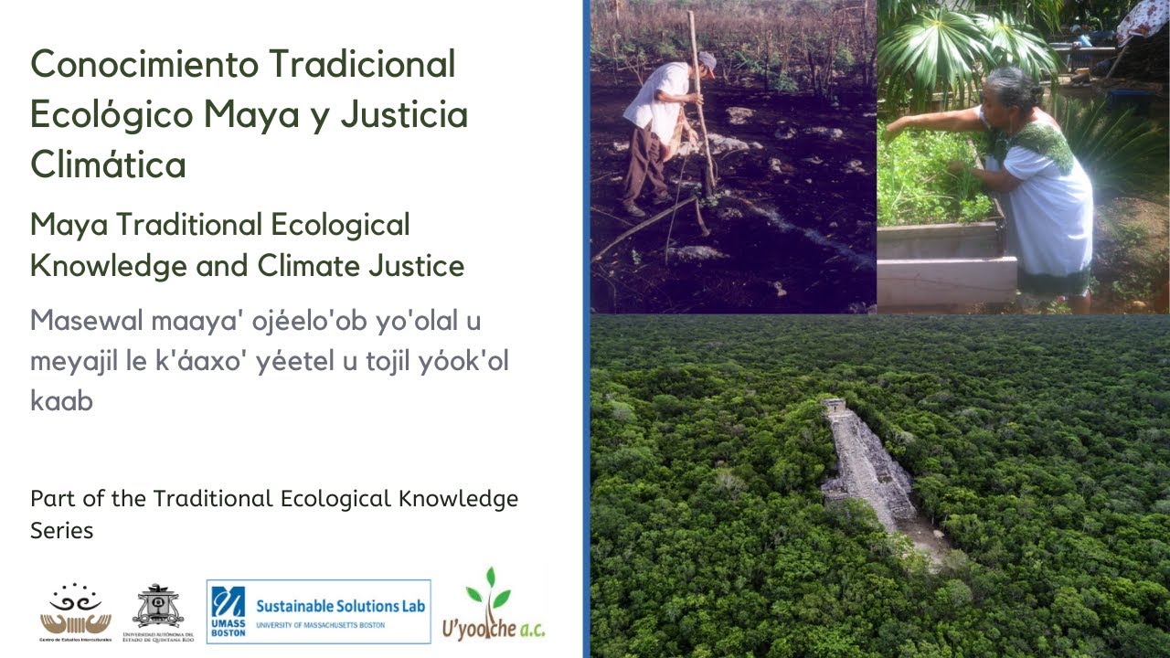 Conocimiento Tradicional Ecológico Maya y Justicia Climática - YouTube