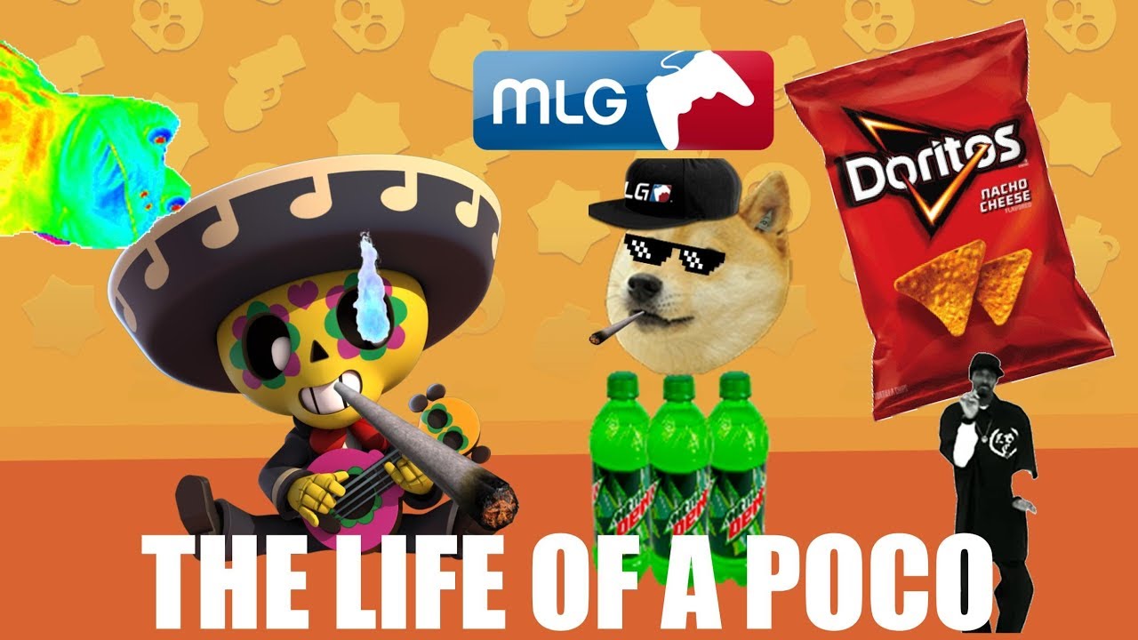 The Life of a Poco - YouTube