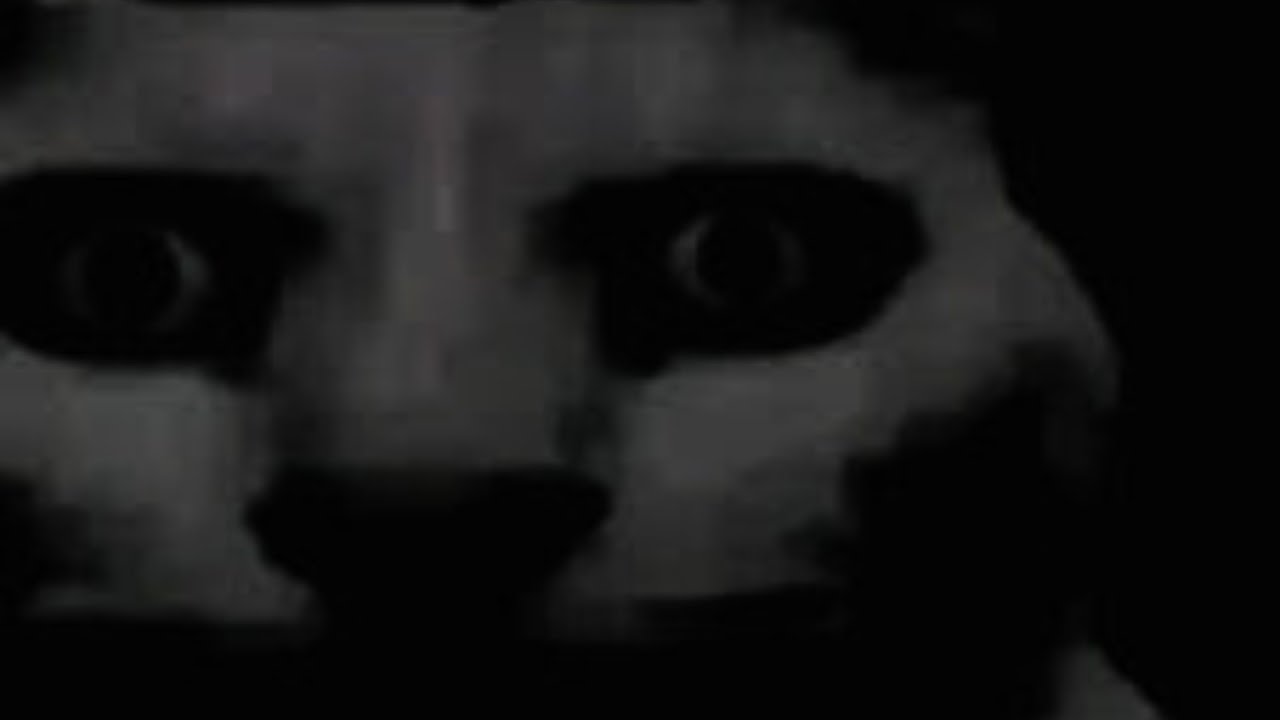 The most Unnerving Distressing images - YouTube