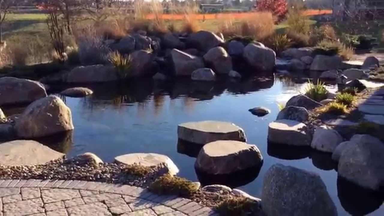 Interactive Aquascape Ecosystem Pond in the Des Moines metro. Just Add ...